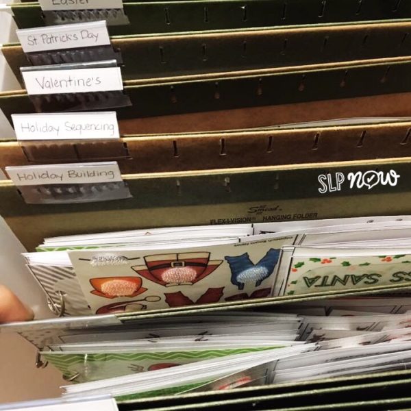 4 Tips for Easy Book Organization | SLP Now
